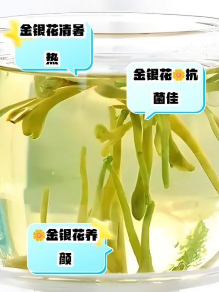 金银花茶的功效与作用_金银花茶怎么泡才正确-第1张图片-山城妙识
