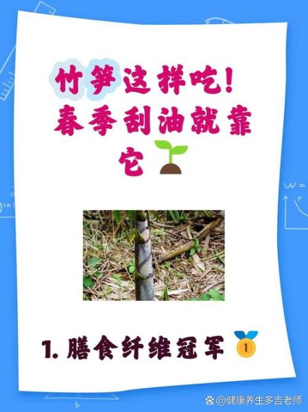 鲜竹笋有什么营养价值_鲜竹笋热量高吗-第1张图片-山城妙识 鲜竹笋有什么营养价值_鲜竹笋热量高吗-第1张图片-山城妙识