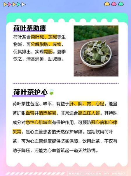 荷叶茶副作用有哪些_荷叶茶喝多了会怎样-第1张图片-山城妙识 荷叶茶副作用有哪些_荷叶茶喝多了会怎样-第1张图片-山城妙识