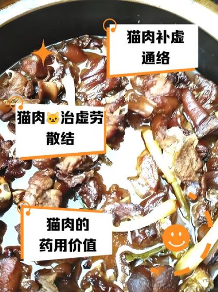 中国人为什么不吃猫肉_猫肉禁忌文化-第1张图片-山城妙识 中国人为什么不吃猫肉_猫肉禁忌文化-第1张图片-山城妙识