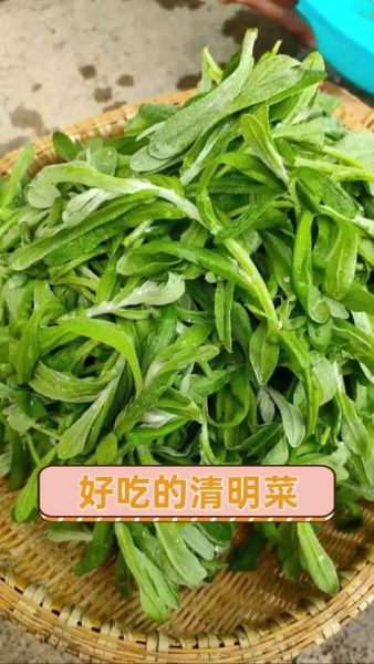 清明吃什么菜_传统时令蔬菜推荐-第1张图片-山城妙识 清明吃什么菜_传统时令蔬菜推荐-第1张图片-山城妙识