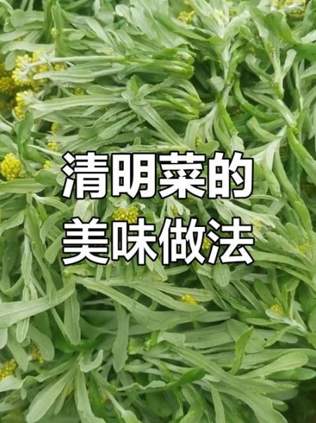 清明吃什么菜_传统时令蔬菜推荐-第3张图片-山城妙识 清明吃什么菜_传统时令蔬菜推荐-第3张图片-山城妙识