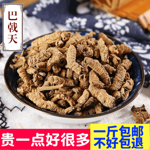 巴戟天吃一次就硬了_真的还是假的-第3张图片-山城妙识 巴戟天吃一次就硬了_真的还是假的-第3张图片-山城妙识