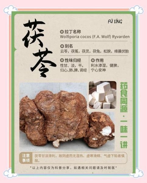 茯苓禁忌人群有哪些_茯苓不适合哪些人吃-第1张图片-山城妙识 茯苓禁忌人群有哪些_茯苓不适合哪些人吃-第1张图片-山城妙识