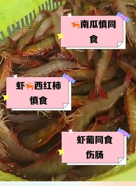 虾不能和什么一起吃_虾与哪些食物相克-第1张图片-山城妙识 虾不能和什么一起吃_虾与哪些食物相克-第1张图片-山城妙识