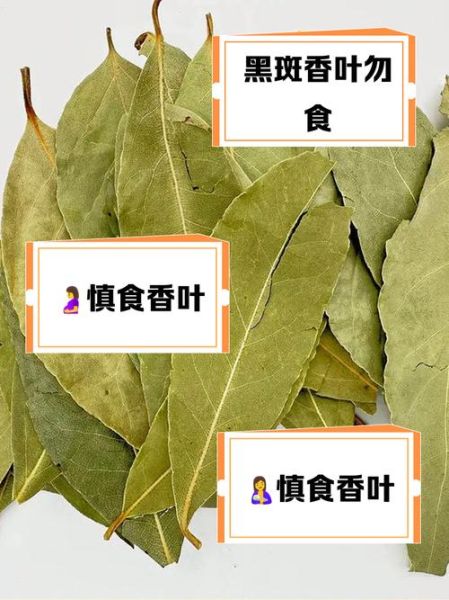 香叶的功效与作用_香叶能天天吃吗-第3张图片-山城妙识