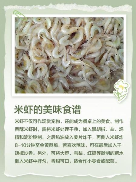 虾米有什么功效_虾米的作用与禁忌-第2张图片-山城妙识