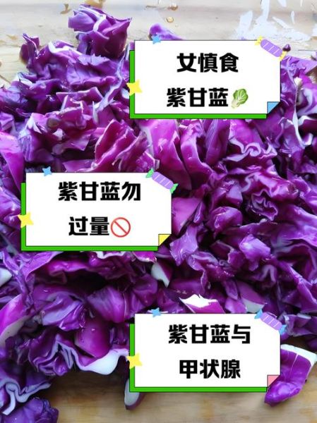 紫甘蓝哪些人不能吃_紫甘蓝禁忌人群-第1张图片-山城妙识 紫甘蓝哪些人不能吃_紫甘蓝禁忌人群-第1张图片-山城妙识