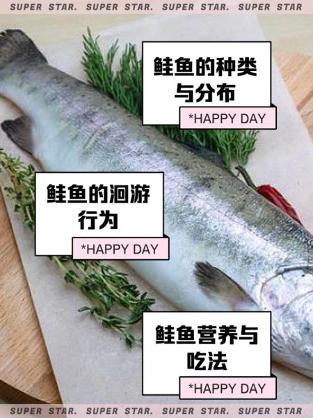 鲑鱼价格多少钱一斤_鲑鱼多少钱一斤最新行情-第3张图片-山城妙识 鲑鱼价格多少钱一斤_鲑鱼多少钱一斤最新行情-第3张图片-山城妙识