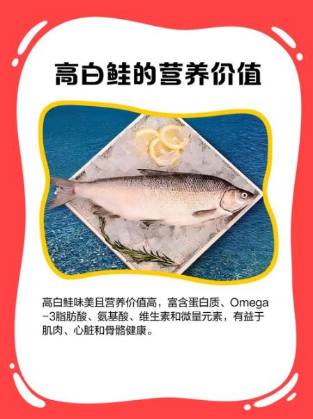 鲑鱼价格多少钱一斤_鲑鱼多少钱一斤最新行情-第2张图片-山城妙识 鲑鱼价格多少钱一斤_鲑鱼多少钱一斤最新行情-第2张图片-山城妙识