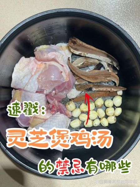 药膳鸡汤配料有哪些_如何搭配才不上火-第1张图片-山城妙识