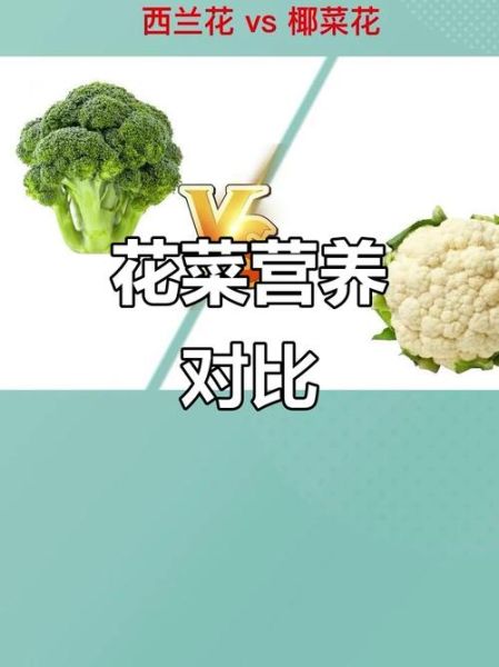 花椰菜和西兰花的区别_哪个更有营养-第3张图片-山城妙识