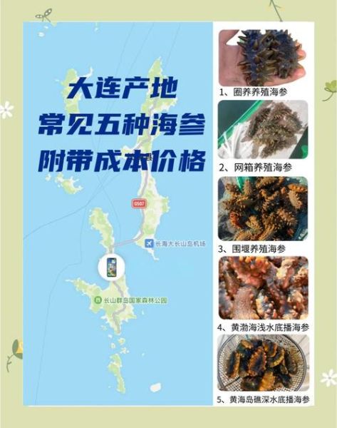 海参价格暴涨原因_2021年6月海参多少钱一斤-第2张图片-山城妙识
