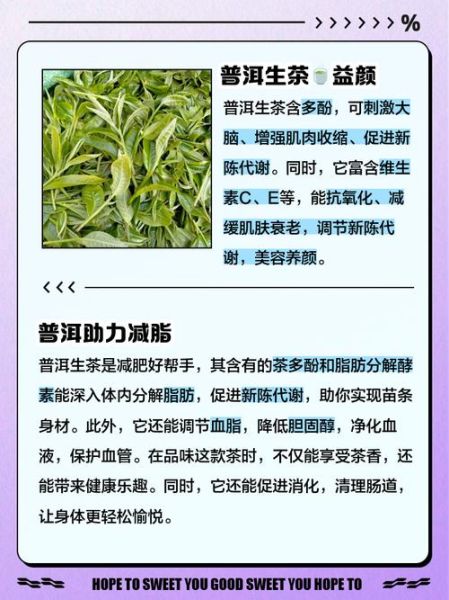 生普洱茶的功效与作用及禁忌_生普洱适合什么人喝-第1张图片-山城妙识 生普洱茶的功效与作用及禁忌_生普洱适合什么人喝-第1张图片-山城妙识