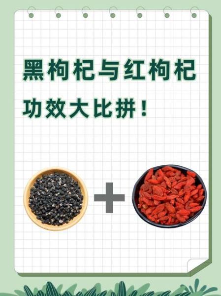 补肾黑枸杞好还是红枸杞好_哪个更适合男人-第2张图片-山城妙识 补肾黑枸杞好还是红枸杞好_哪个更适合男人-第2张图片-山城妙识