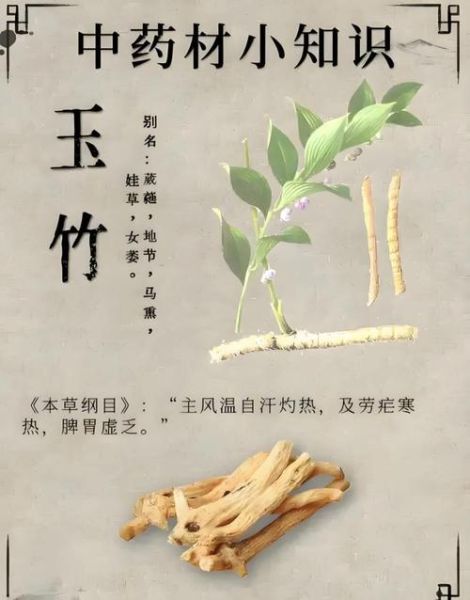 玉竹的功效与作用_玉竹的副作用有哪些-第1张图片-山城妙识