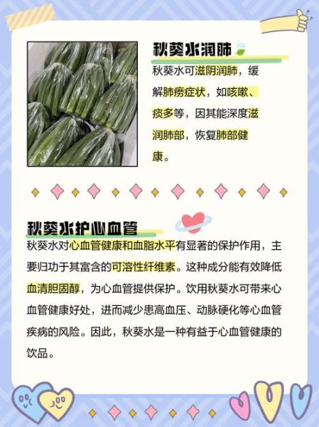 秋葵籽泡水喝的功效_秋葵籽泡水多久喝最好-第1张图片-山城妙识