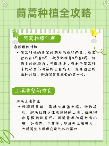 茼蒿怎么种_茼蒿种植时间和方法-第1张图片-山城妙识