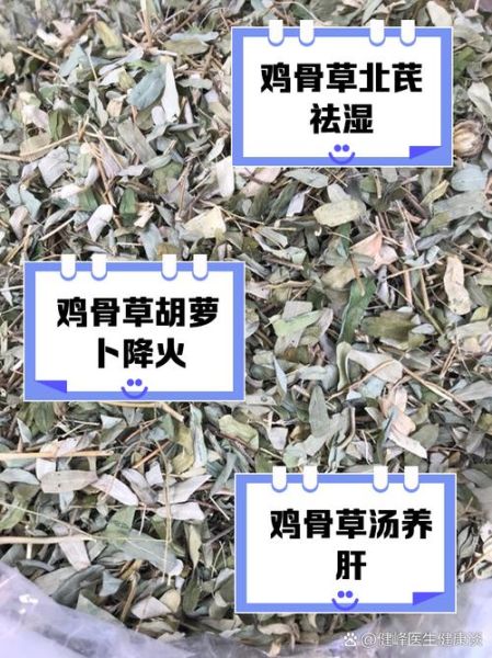 鸡骨草不能和什么一起吃_鸡骨草与哪些食物相克-第1张图片-山城妙识 鸡骨草不能和什么一起吃_鸡骨草与哪些食物相克-第1张图片-山城妙识