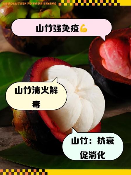 山竹的营养价值_山竹不能和什么一起吃-第2张图片-山城妙识