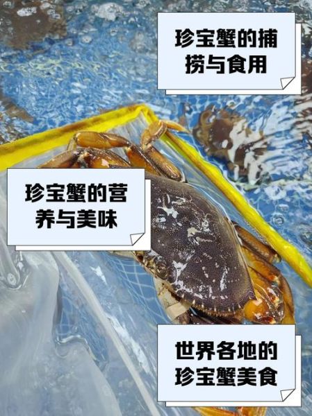 珍宝蟹的营养价值_珍宝蟹的功效与作用-第1张图片-山城妙识 珍宝蟹的营养价值_珍宝蟹的功效与作用-第1张图片-山城妙识