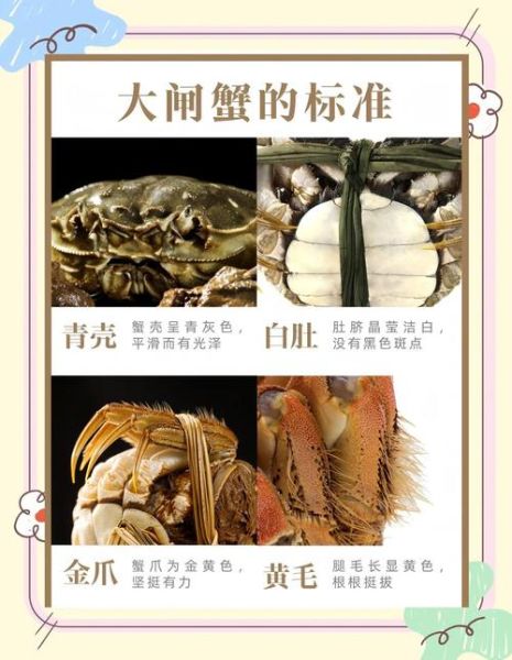 洞庭湖大闸蟹怎么挑选_正宗产地有哪些-第3张图片-山城妙识 洞庭湖大闸蟹怎么挑选_正宗产地有哪些-第3张图片-山城妙识