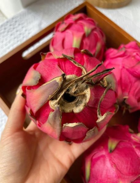 孕妇能吃红心火龙果吗_红心火龙果对胎儿好吗-第1张图片-山城妙识