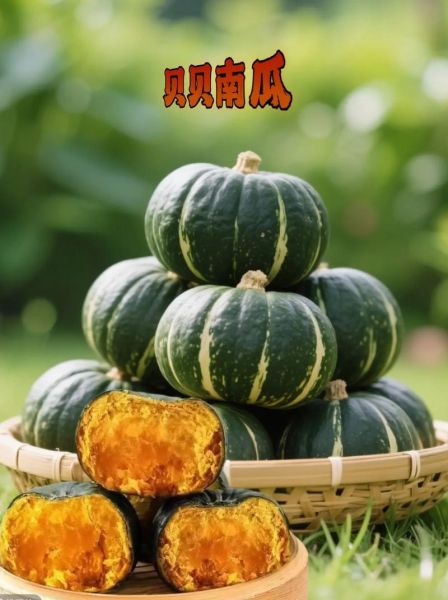 贝贝板栗小南瓜怎么蒸_贝贝南瓜蒸多久才软糯-第2张图片-山城妙识