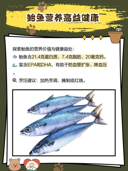 鲐鱼读音怎么读_鲐鱼是什么鱼-第1张图片-山城妙识