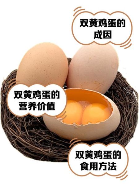 双黄蛋能吃吗_双黄蛋营养价值-第1张图片-山城妙识 双黄蛋能吃吗_双黄蛋营养价值-第1张图片-山城妙识