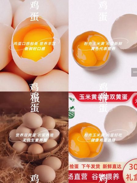 双黄蛋能吃吗_双黄蛋营养价值-第3张图片-山城妙识 双黄蛋能吃吗_双黄蛋营养价值-第3张图片-山城妙识