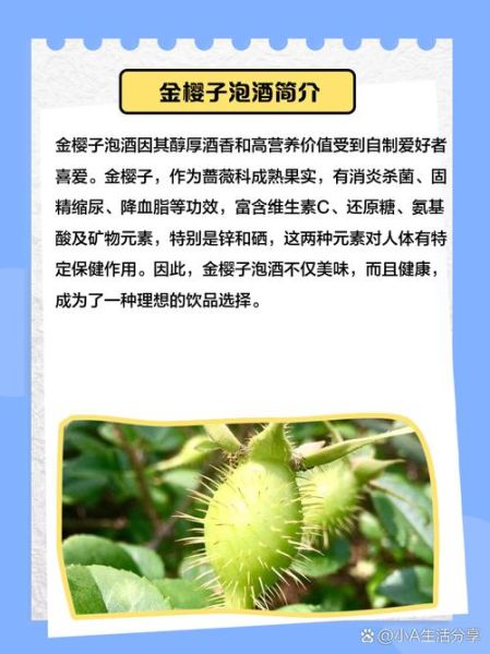 金樱子泡水喝的功效_金樱子泡水能长期喝吗-第2张图片-山城妙识 金樱子泡水喝的功效_金樱子泡水能长期喝吗-第2张图片-山城妙识