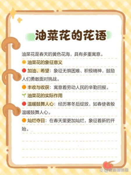 油菜花的花语是什么_油菜花适合送什么人-第1张图片-山城妙识 油菜花的花语是什么_油菜花适合送什么人-第1张图片-山城妙识