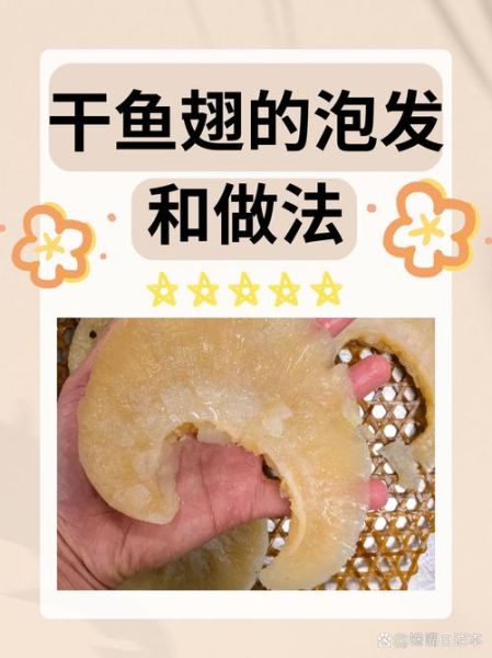 鱼翅是怎么制作的_鱼翅真假如何辨别-第2张图片-山城妙识