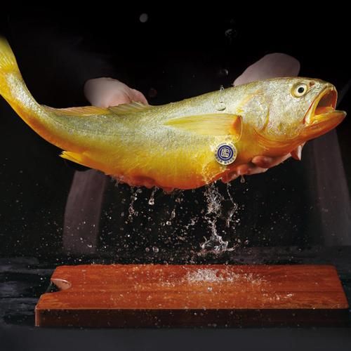 黄鱼视频2020最新版怎么下载_黄鱼视频2020最新版安全吗-第2张图片-山城妙识