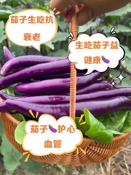 茄子营养价值高吗_茄子怎么吃最健康-第1张图片-山城妙识