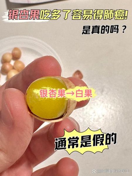 白果是银杏果吗_白果与银杏果区别-第3张图片-山城妙识