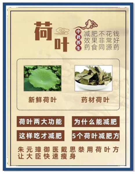 荷叶能减肥吗_荷叶的功效与作用-第2张图片-山城妙识