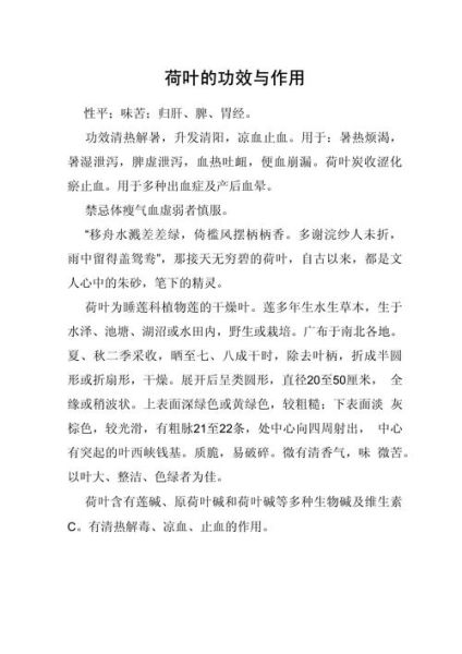 荷叶能减肥吗_荷叶的功效与作用-第1张图片-山城妙识