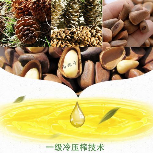 松子油价格多少钱一斤_松子油为什么这么贵-第1张图片-山城妙识 松子油价格多少钱一斤_松子油为什么这么贵-第1张图片-山城妙识