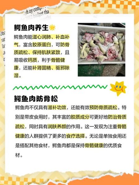 吃鳄鱼肉的危害_鳄鱼肉对人体有哪些副作用-第3张图片-山城妙识