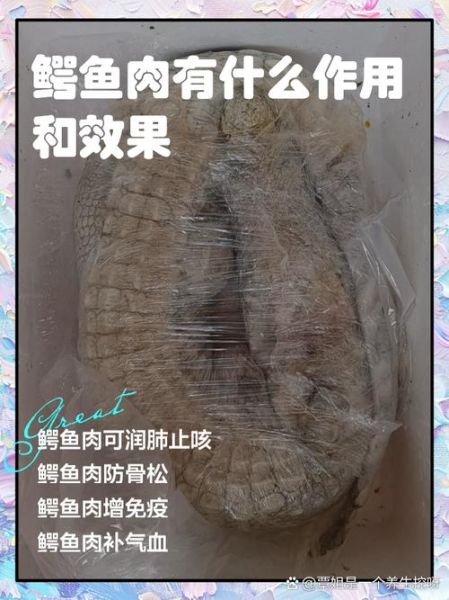 吃鳄鱼肉的危害_鳄鱼肉对人体有哪些副作用-第1张图片-山城妙识