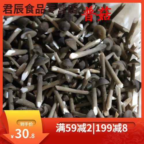 鸡枞菌价格多少一斤_鸡枞菌多少钱一斤-第3张图片-山城妙识