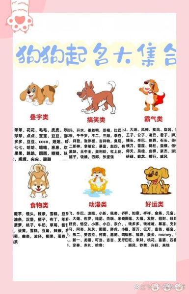 动物名字大全_有哪些冷门又好听的-第1张图片-山城妙识 动物名字大全_有哪些冷门又好听的-第1张图片-山城妙识