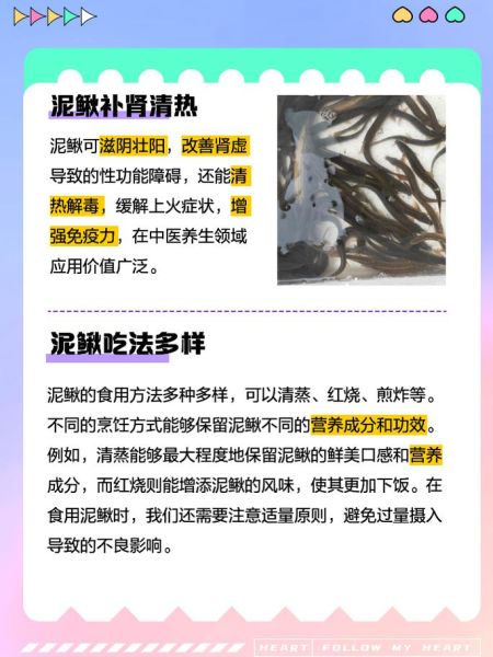 泥鳅的营养价值_泥鳅的功效与作用有哪些-第1张图片-山城妙识