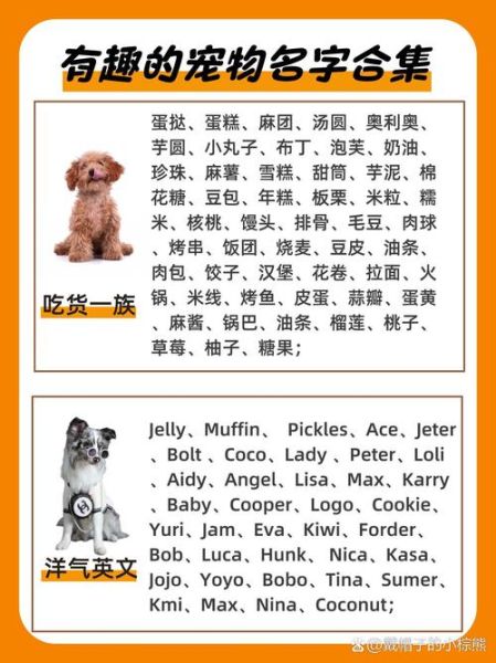 动物名字大全_有哪些冷门又好听的-第2张图片-山城妙识 动物名字大全_有哪些冷门又好听的-第2张图片-山城妙识