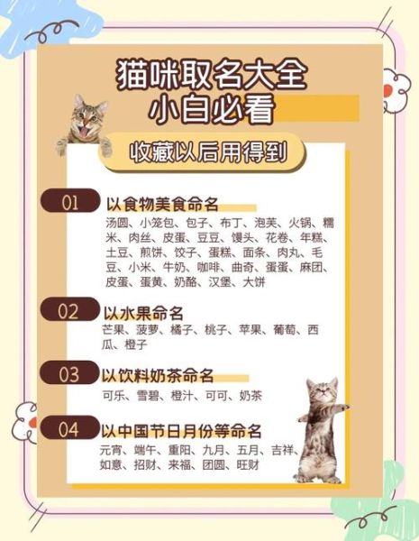 动物名字大全_有哪些冷门又好听的-第3张图片-山城妙识 动物名字大全_有哪些冷门又好听的-第3张图片-山城妙识