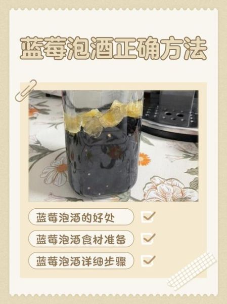 蓝莓酒怎么做_蓝莓酒的功效与作用-第1张图片-山城妙识