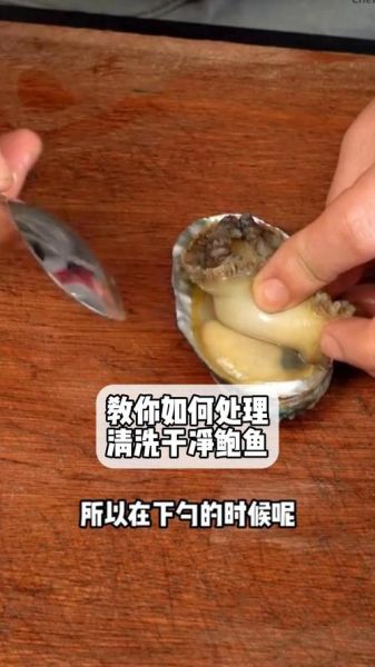鲍鱼怎么去内脏_鲍鱼清理内脏步骤-第1张图片-山城妙识