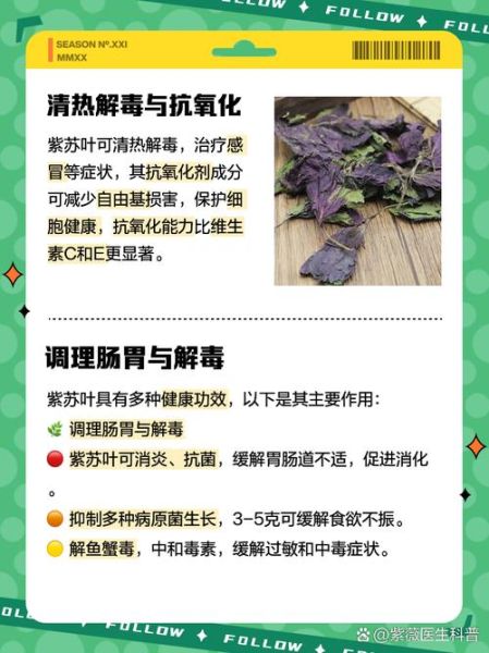 长期喝紫苏泡水喝有什么功效_紫苏叶泡水能天天喝吗-第3张图片-山城妙识